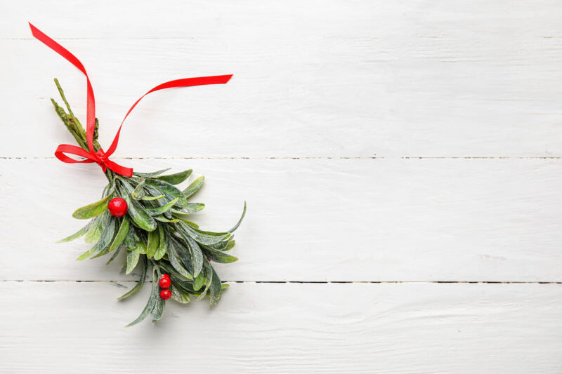 Una promessa sotto il vischio: trama e cast Pinkblog